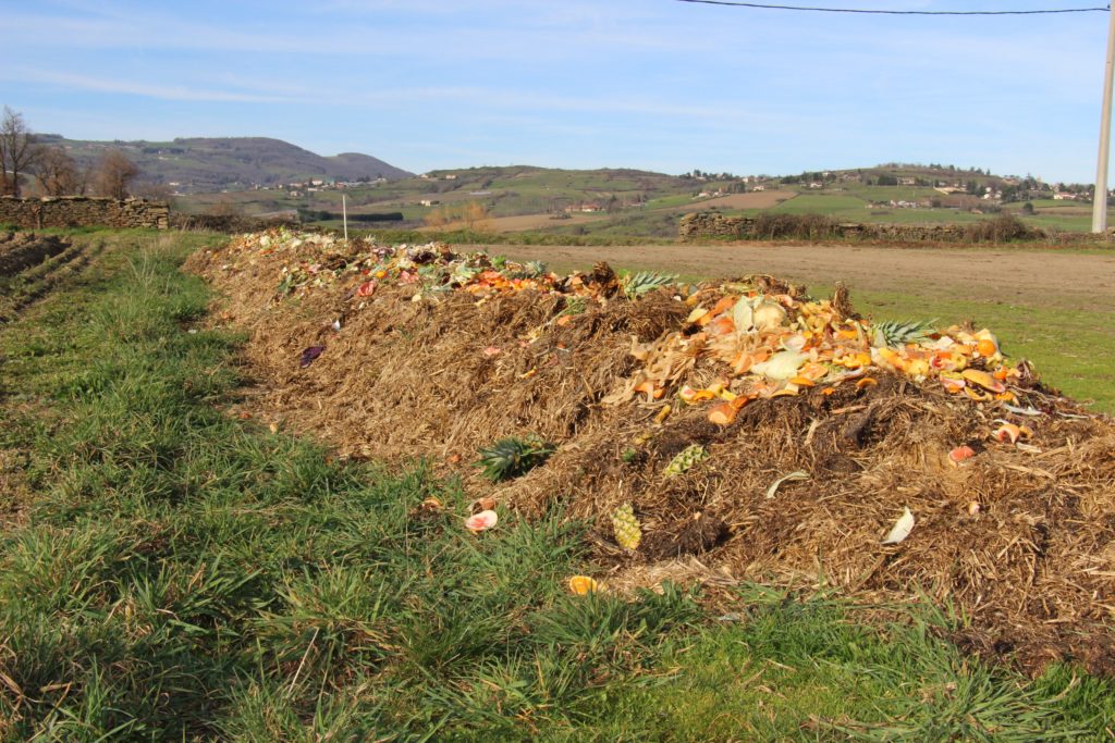 Andain composé de fumier et biodéchets sur une plateforme agricole ...